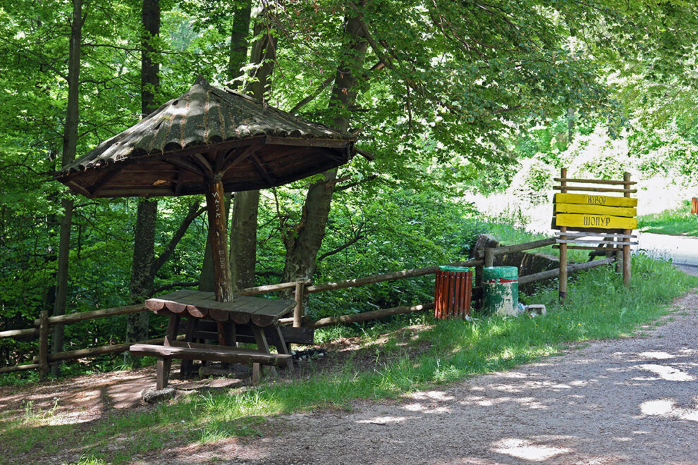 Planina Devica kod Sokobanje malo poznata oaza lepih predela - Daljine.rs