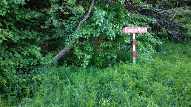 Planina Devica kod Sokobanje malo poznata oaza lepih predela - Daljine.rs